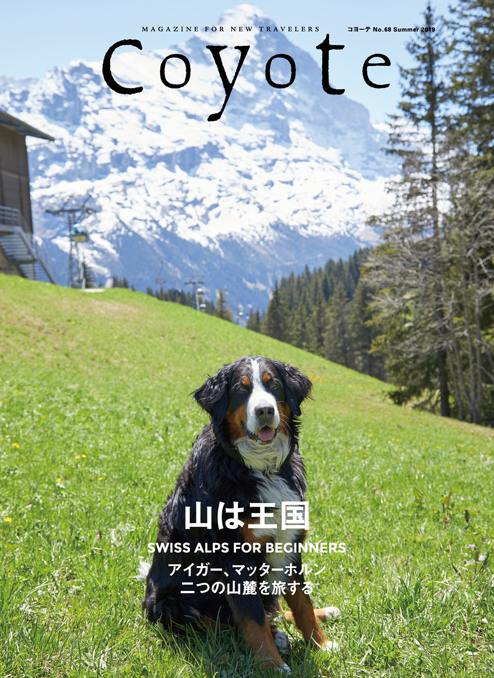 Coyote No.68 - DREAMS COME TRUE